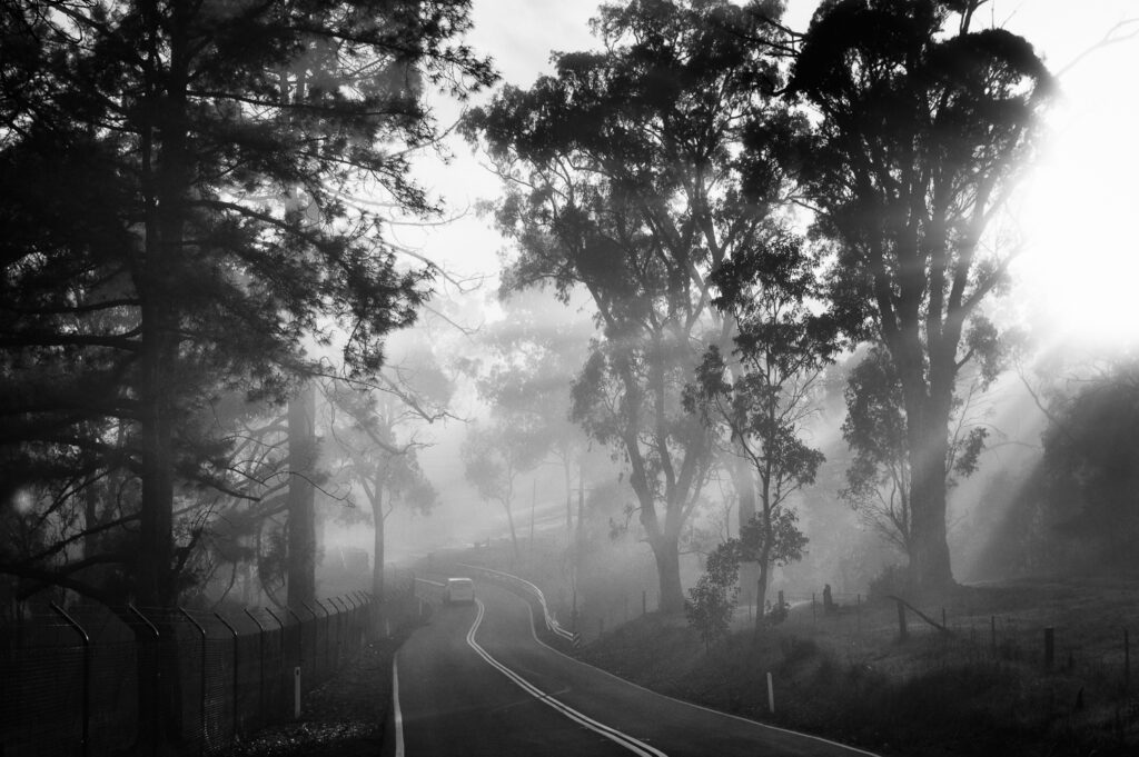 Early morning, Chain of Ponds - Lee Hopkins Photography